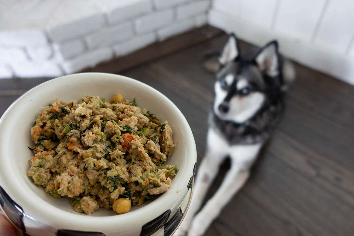 Best The Farmer's Dog Alternatives - Affordable, Tried & Tested