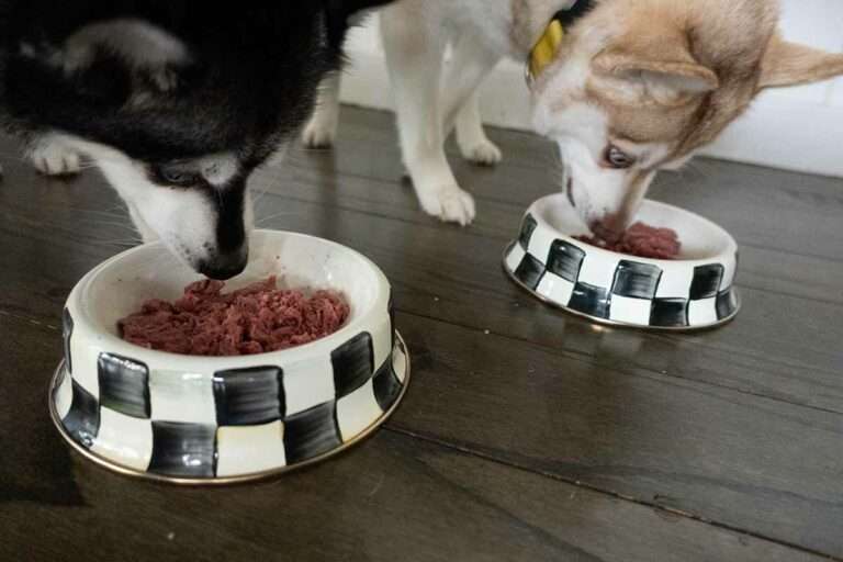 Best Alternatives to The Farmer’s Dog (2026): Tested On Picky Dog