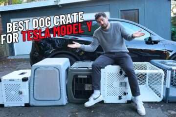 Best Dog Crates For Tesla Model Y - Tested & Reviewed