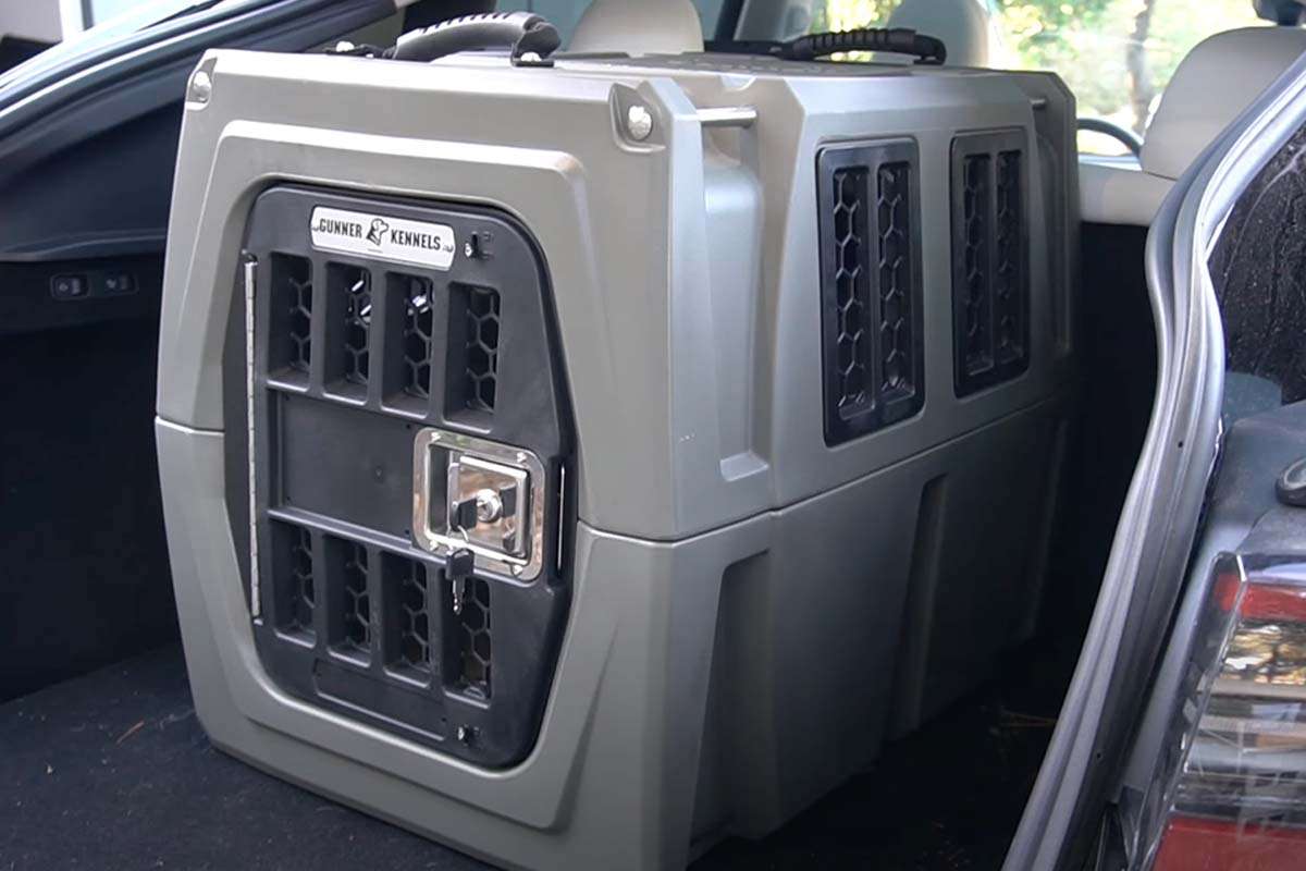 Best Dog Crates For Tesla Model Y - Tested & Reviewed