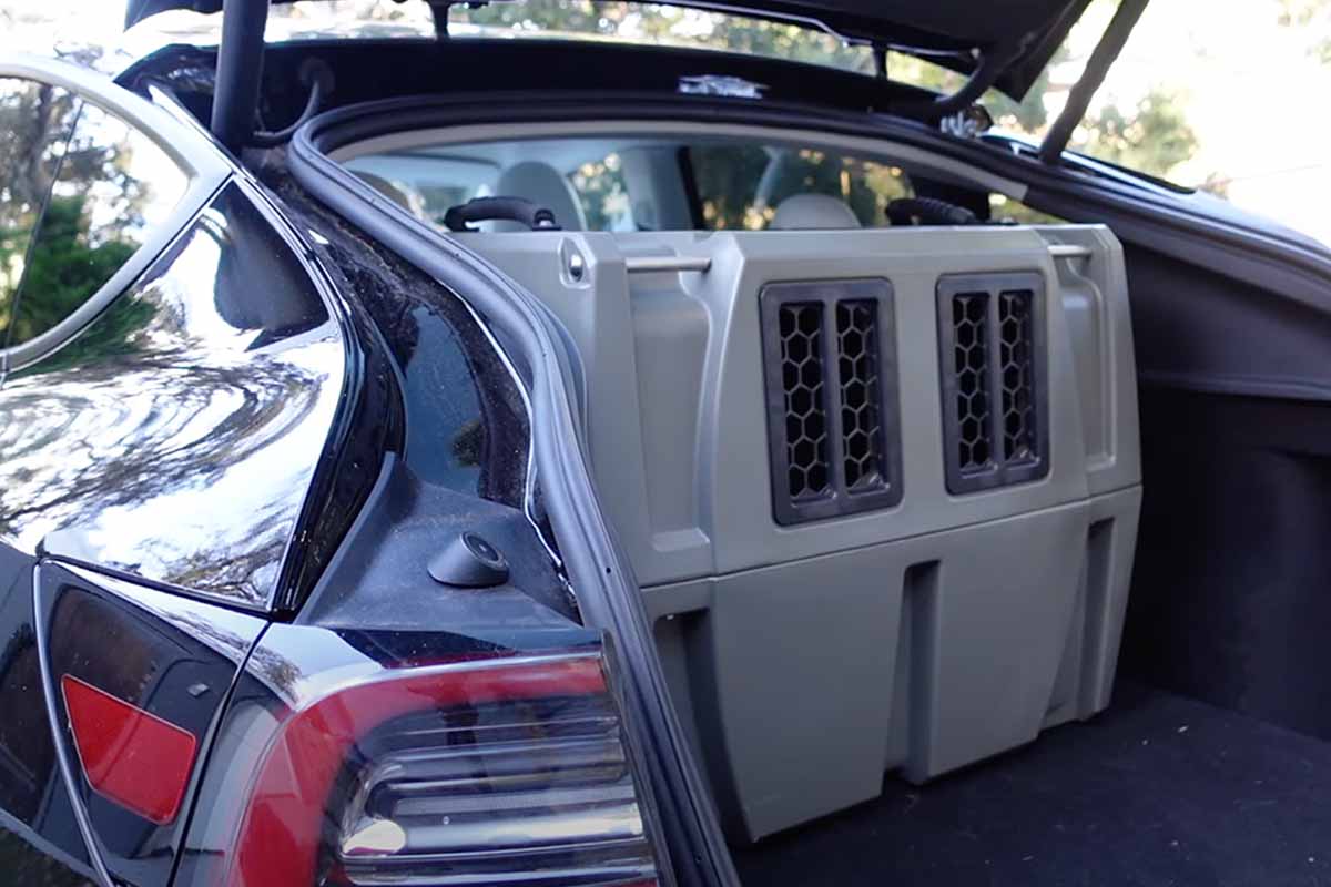 Best Dog Crates For Tesla Model Y - Tested & Reviewed