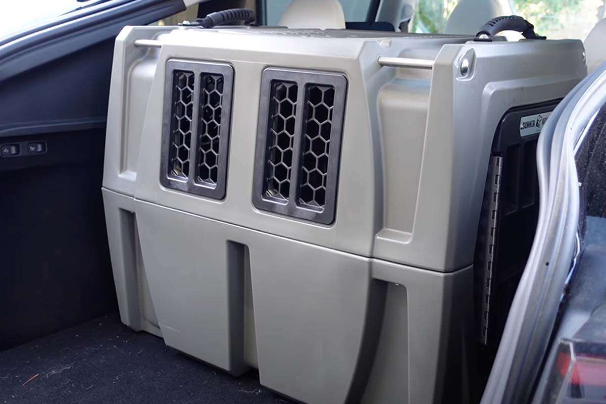 Best Dog Crates for Tesla Model Y 2026 (Tested for Fit & Safety)