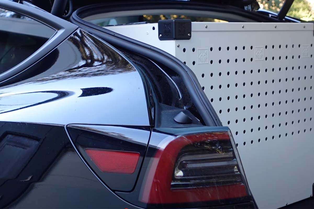 Best Dog Crates For Tesla Model Y - Tested & Reviewed