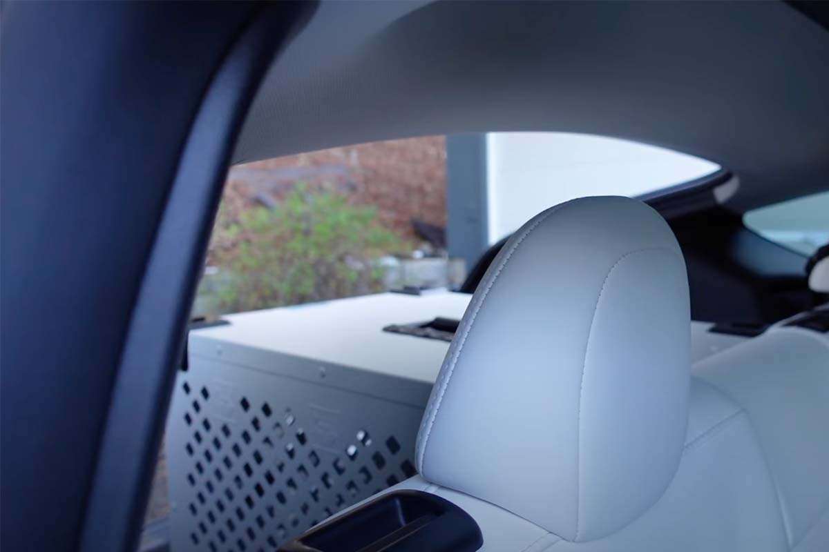 Best Dog Crates For Tesla Model Y - Tested & Reviewed