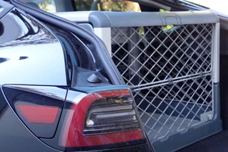 Best Dog Crates for Tesla Model Y 2026 (Tested for Fit & Safety)