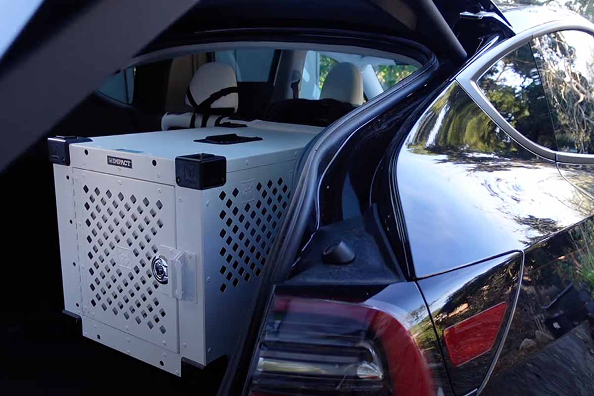 Best Dog Crates For Tesla Model Y - Tested & Reviewed