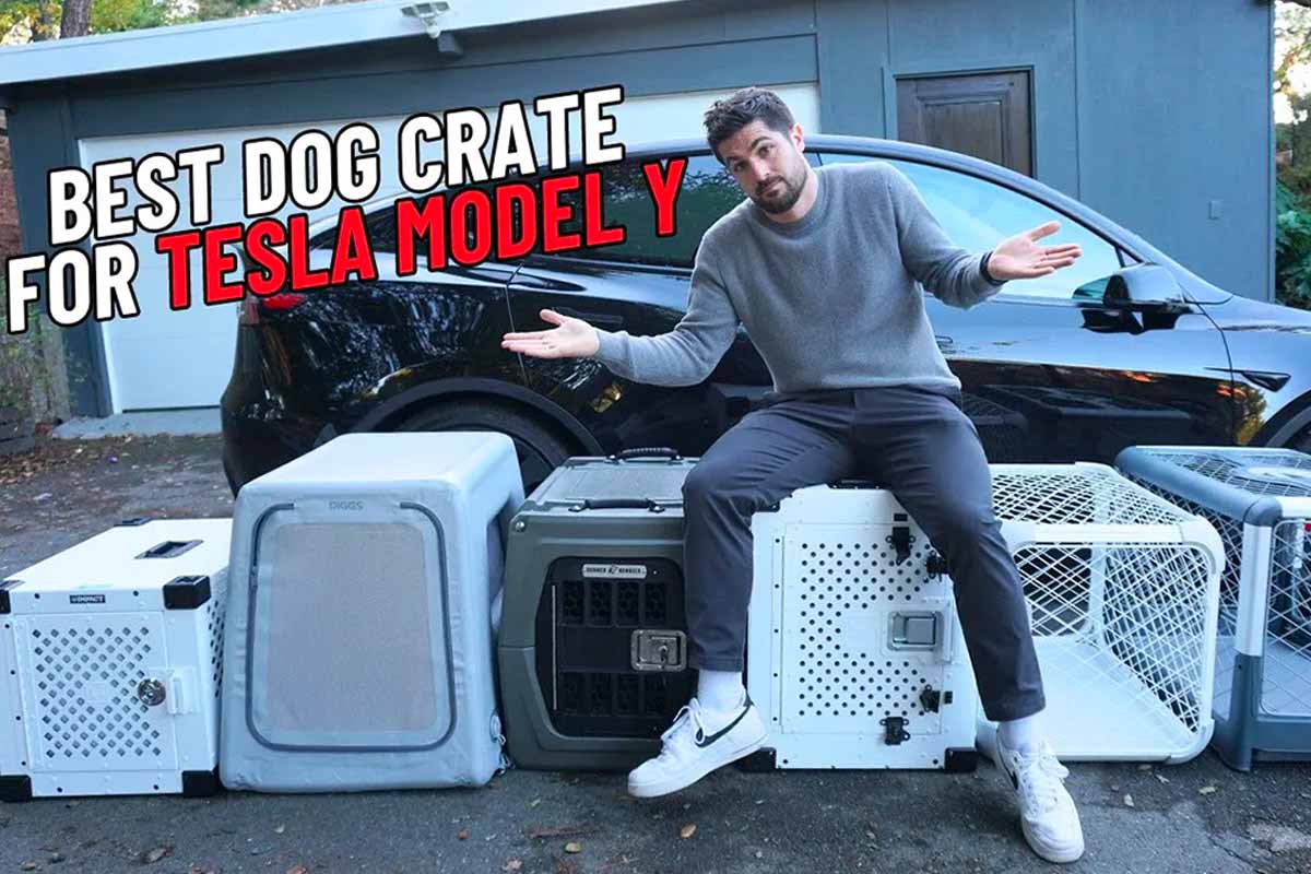 Best Dog Crates For Tesla Model Y - Tested & Reviewed