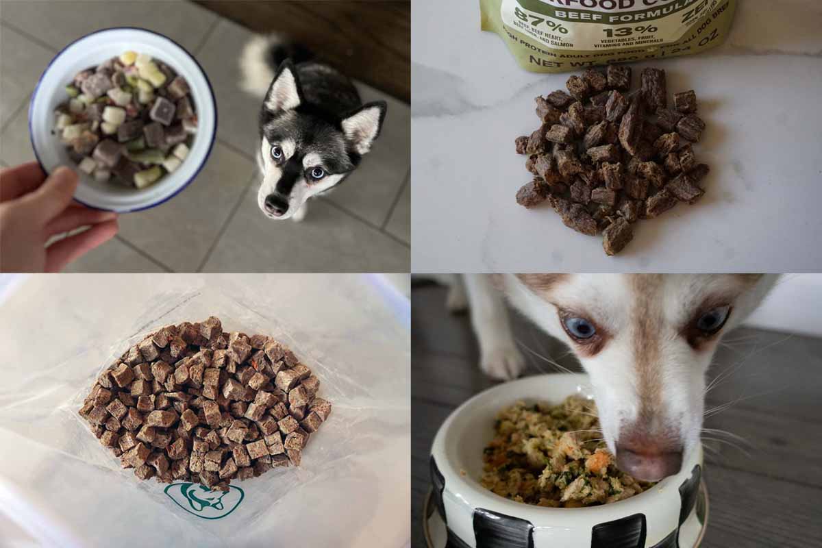 5 Best Alternatives to Sundays Dog Food (2026 Guide)