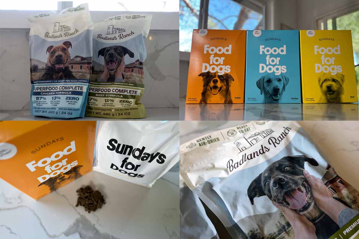 Sundays For Dogs Vs Badlands Ranch: What's The Difference?