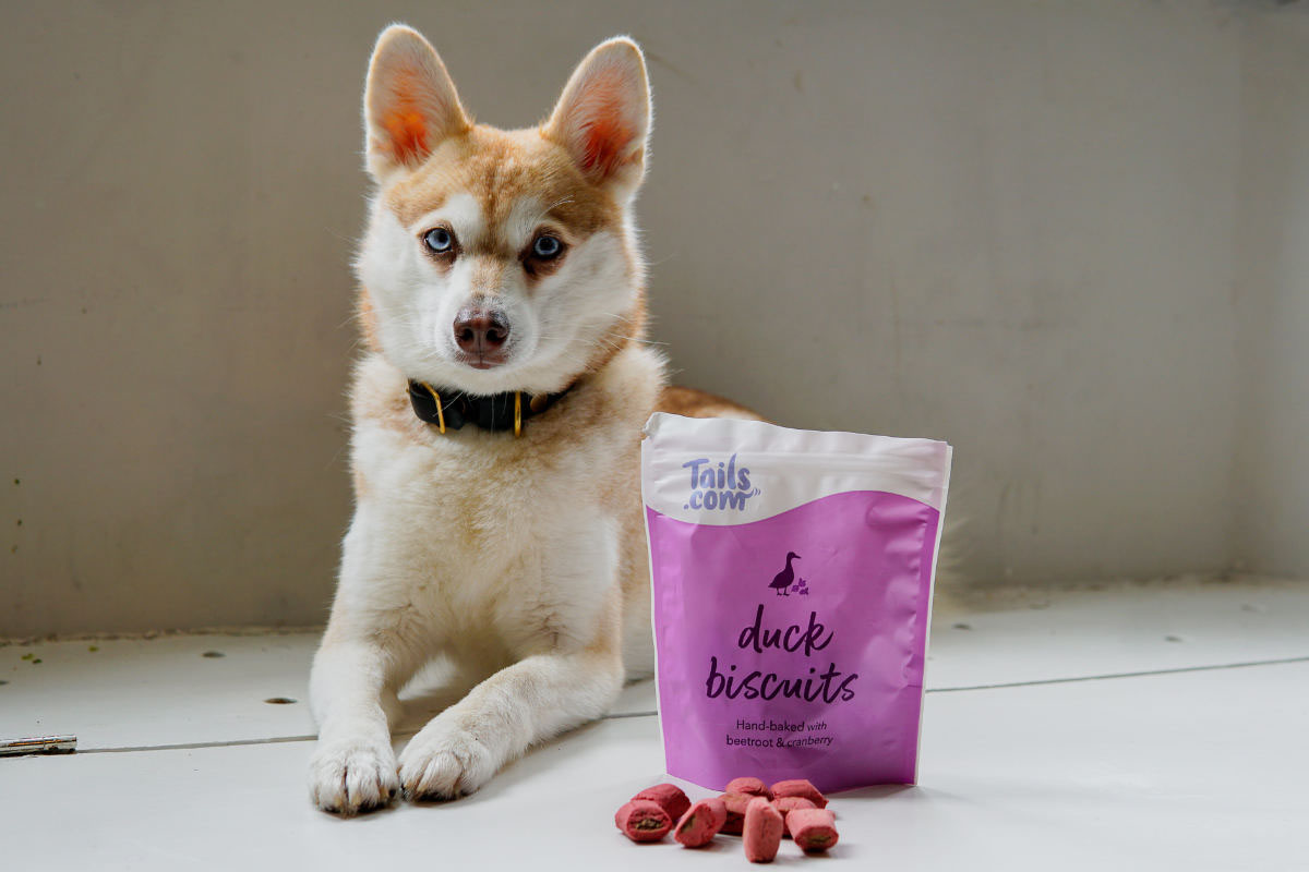 Butternut Box Vs Tails: What's The Difference? Tried & Tested