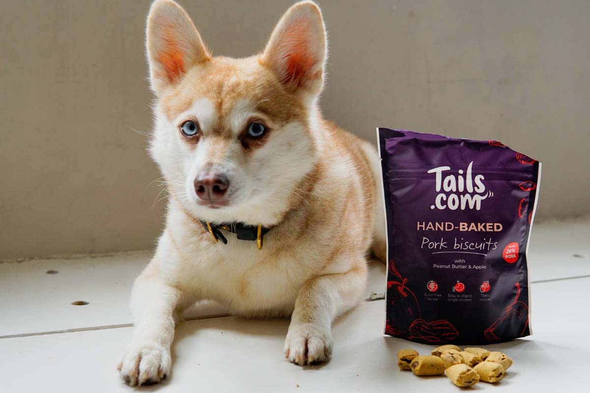 Butternut Box Vs Tails: What's The Difference? Tried & Tested