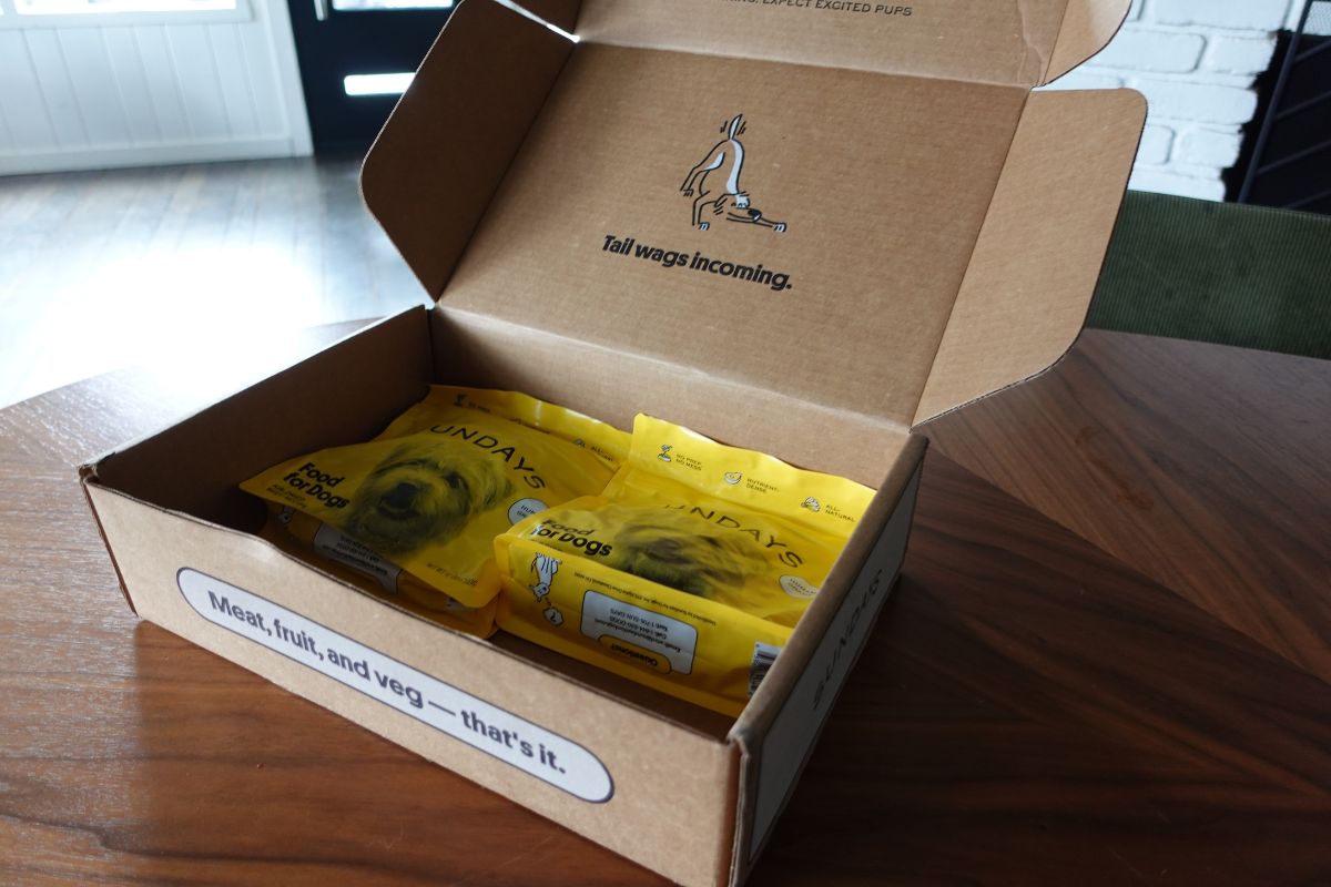 Sundays Dog Food Review (2026): Pros, Cons & Is It Worth It?