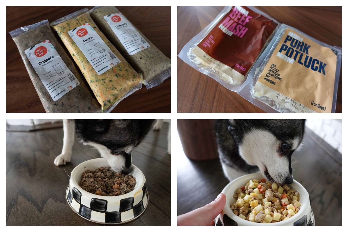The Farmer's Dog Vs Nom Nom: What's The Difference?