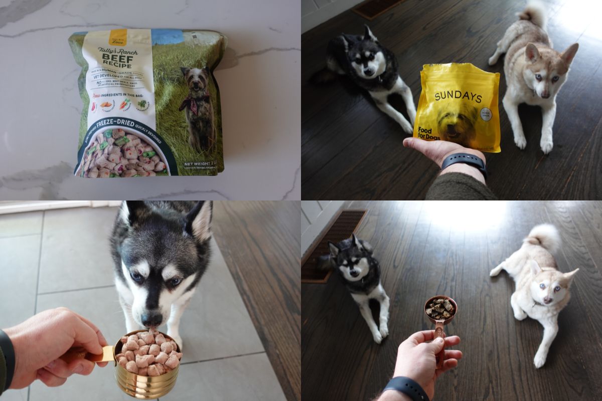 Sundays For Dogs Vs Tally's Ranch: What's The Difference?