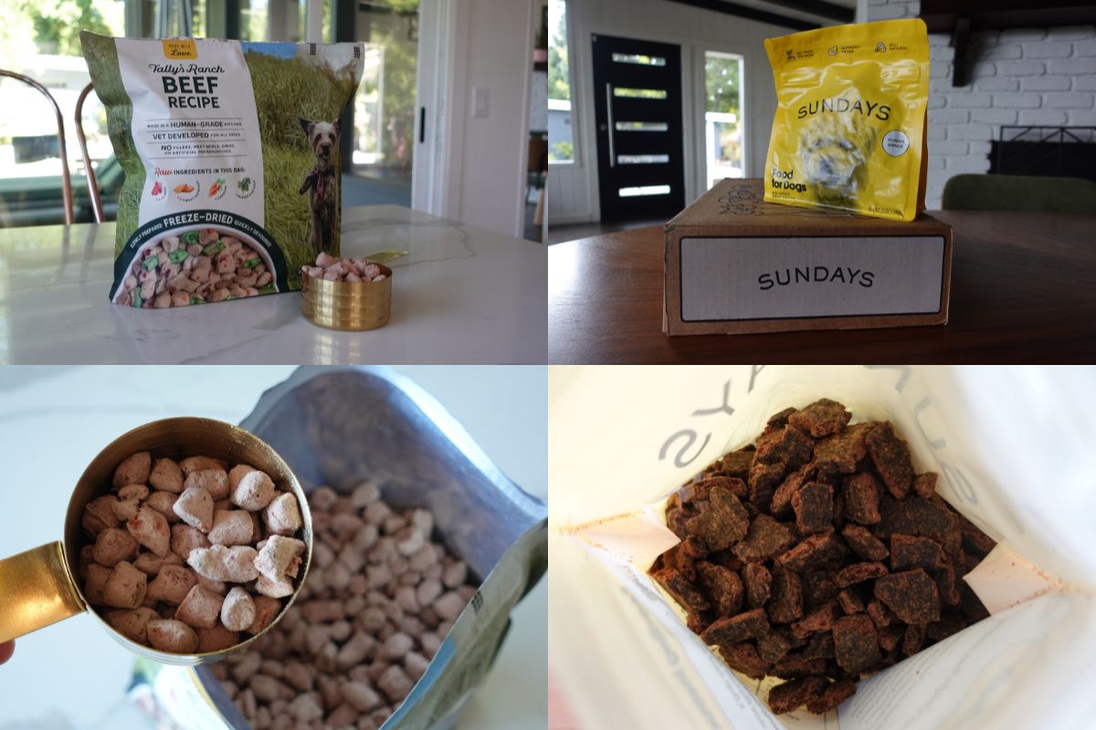 Sundays For Dogs Vs Tally's Ranch: What's The Difference?