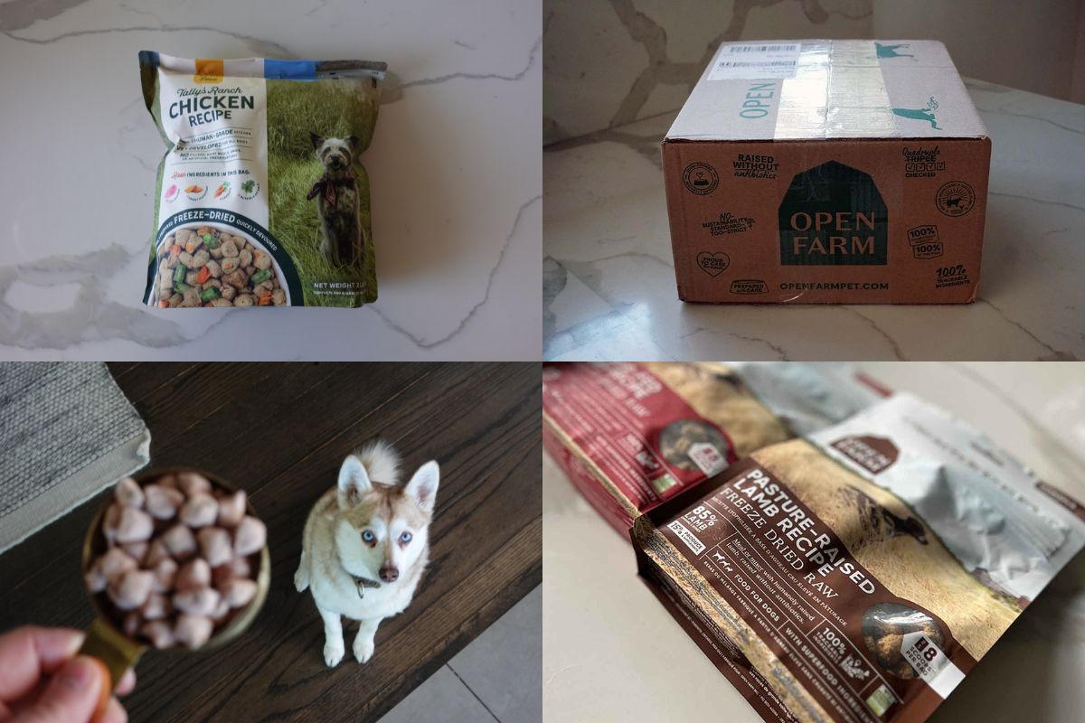 Open Farm Vs Tally's Ranch: What's The Difference?