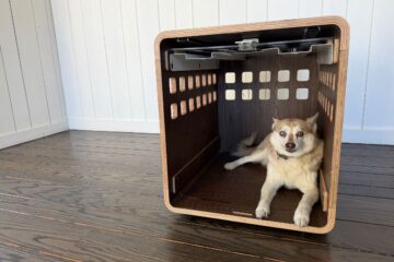 Fable Dog Crate Pros & Cons: My Honest Review