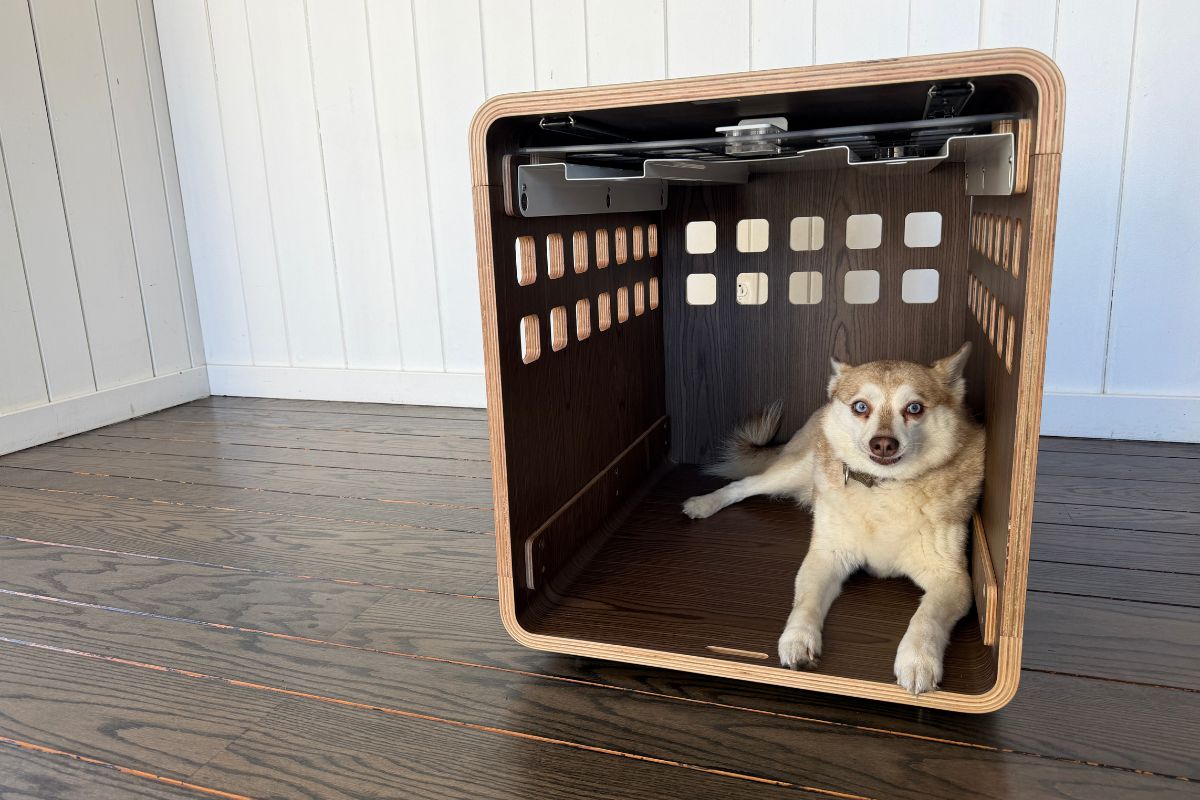 Fable Dog Crate Pros & Cons: My Honest Review