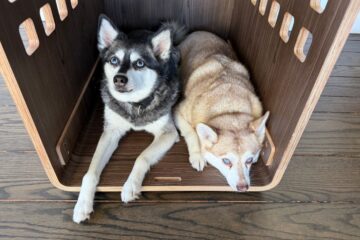 Fable Dog Crate Pros & Cons: My Honest Review