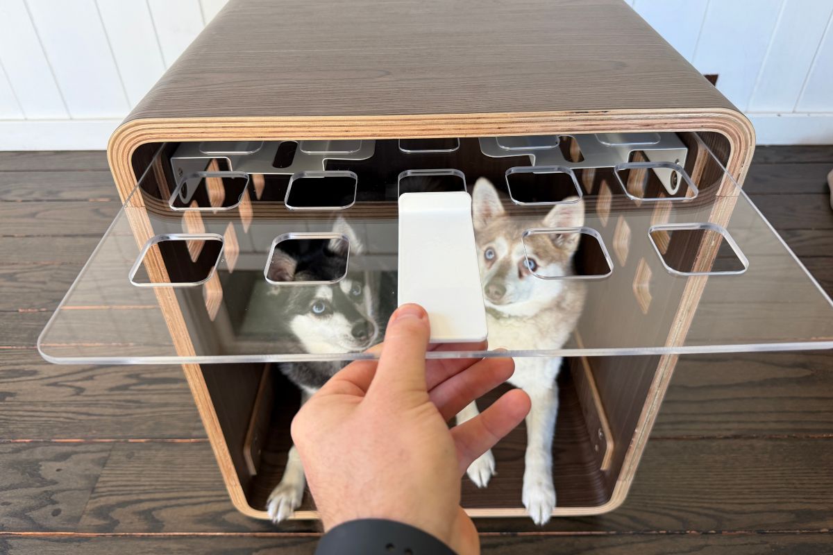 Fable Dog Crate Pros & Cons: My Honest Review