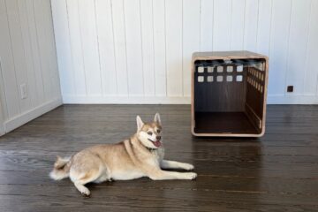 Fable Dog Crate Pros & Cons: My Honest Review
