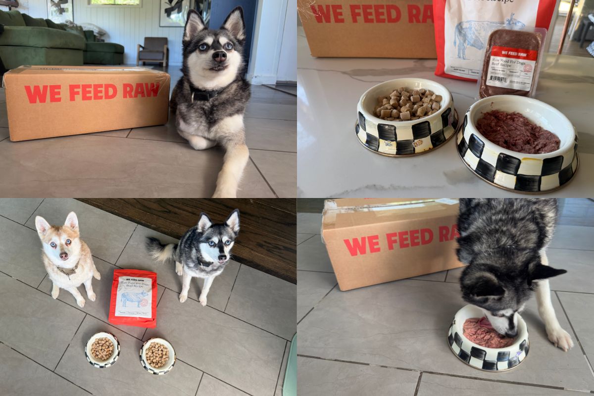 We Feed Raw Pros And Cons: My Honest Review